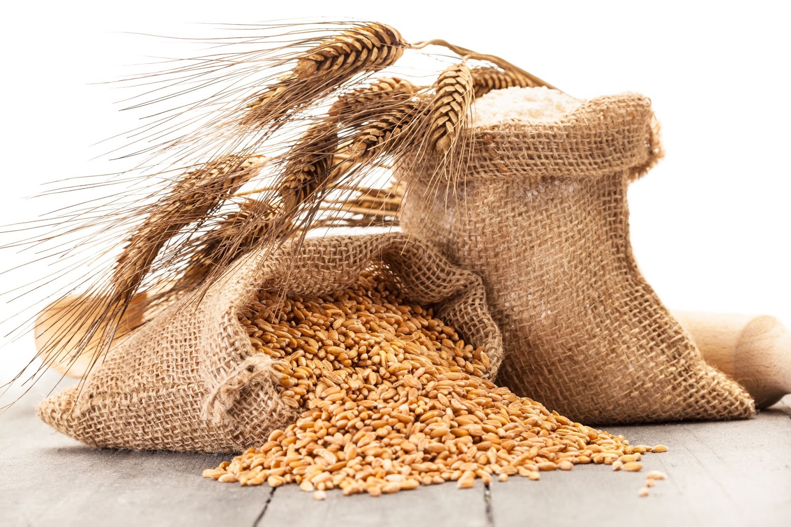 How Grain Handling Technology Evolved with the Introduction of Updated ...