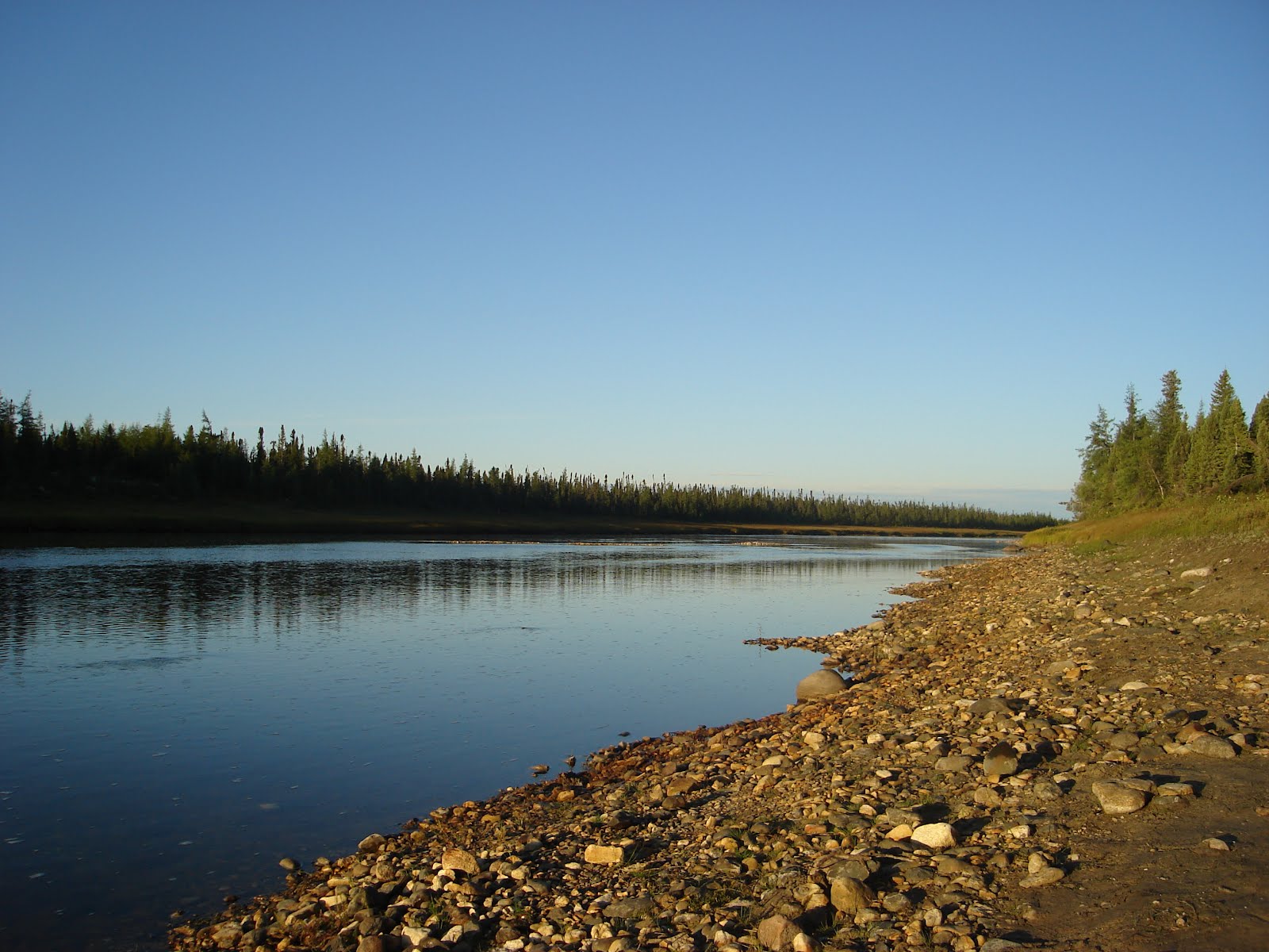 Trout Shadows: Sutton River Memoies