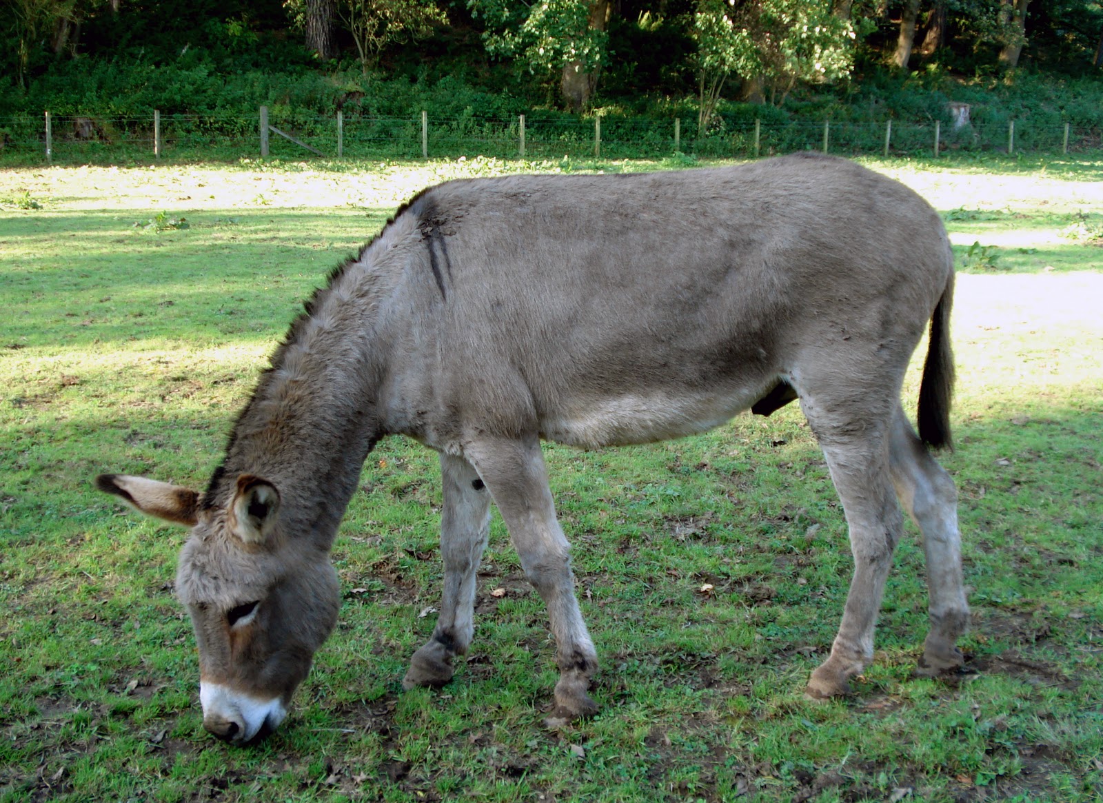Around Kilmarnock: Dean Castle Country Park