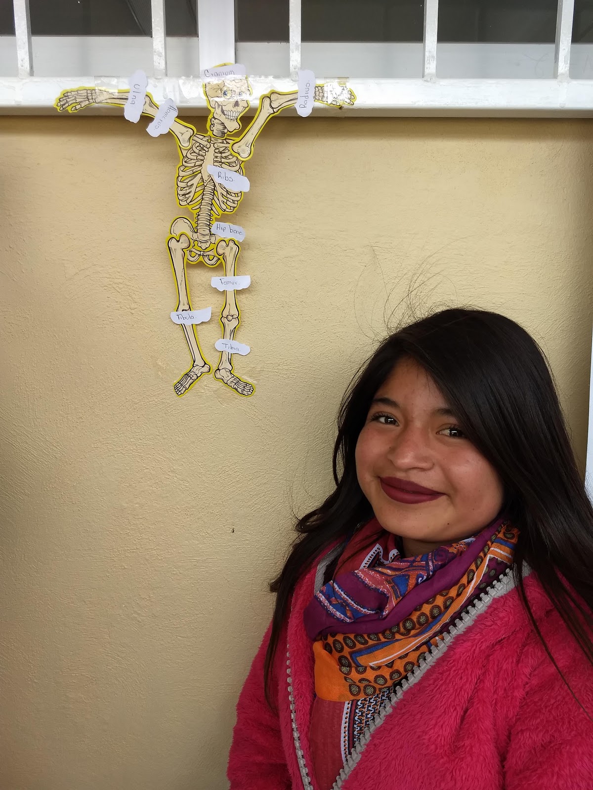 Blog Miss Isabel Cadena Arreola: Parts of the body!!