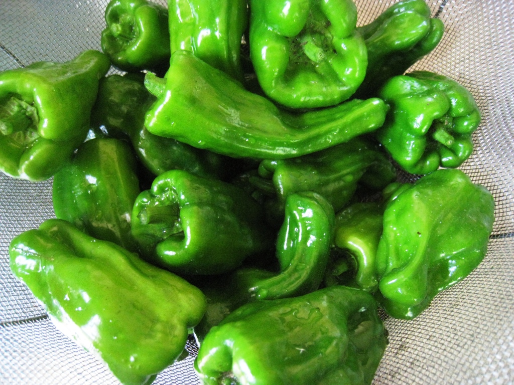 Life in Rural Japan: It's offficial