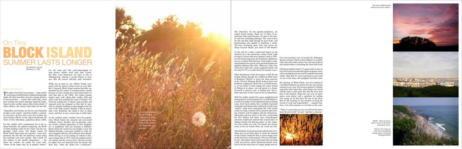 Design Context: InDesign - Alligator Layout Brief - Research