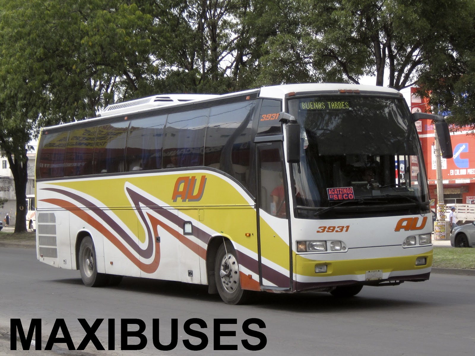 MAXIBUSES: AUTOBUSES UNIDOS (AU)