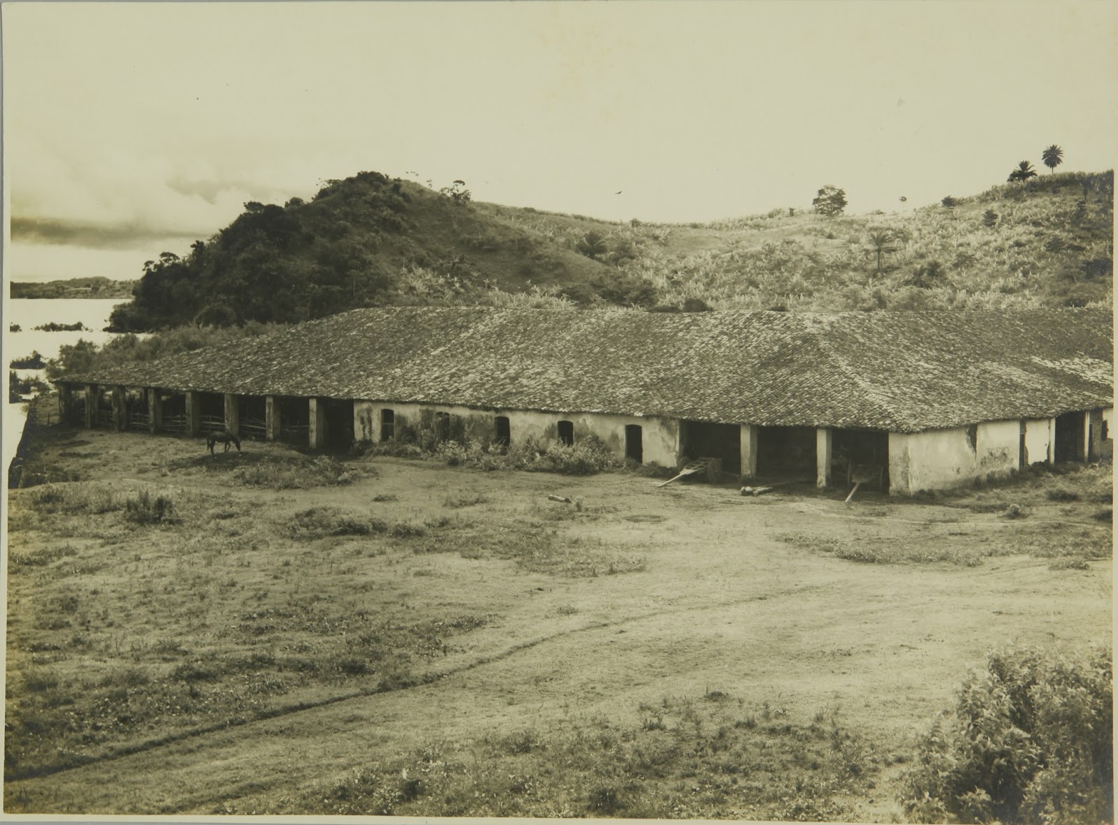 Mais Bahia: Engenho Freguesia - Museu do Recôncavo Wanderley Pinho