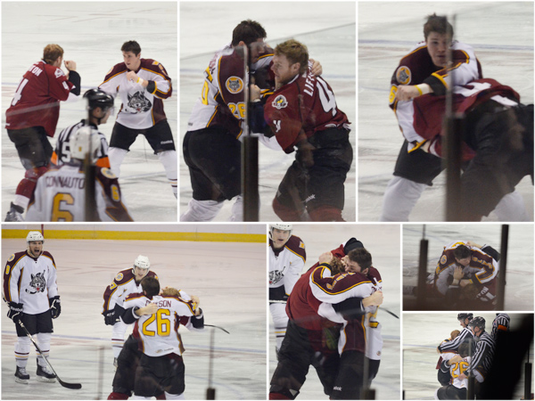 something wilde: Chicago Wolves Hockey