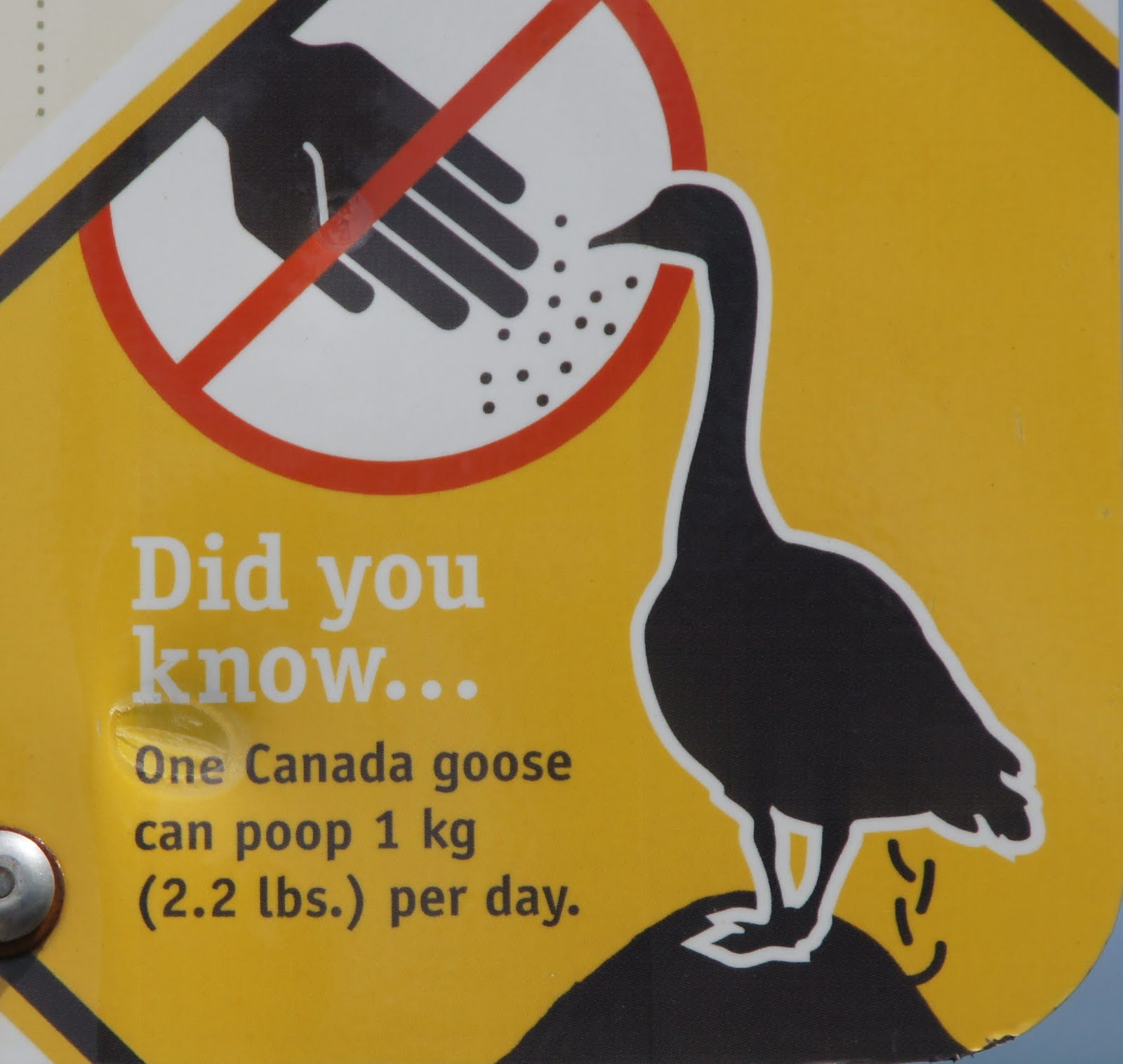 Incultus: A Trip Part one - mostly in pictures