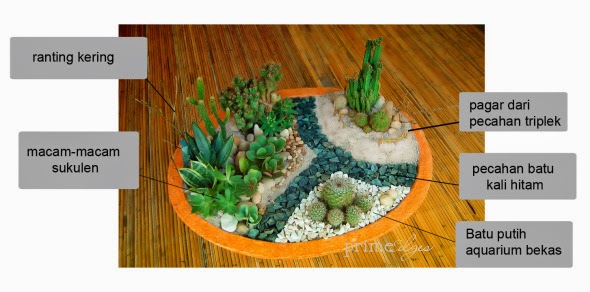 Galeri Iseng: Taman Mini Dalam Pot (Edisi: Simple)