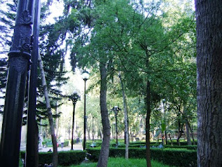 Vivir en Tlatelolco: Ahuehuetes