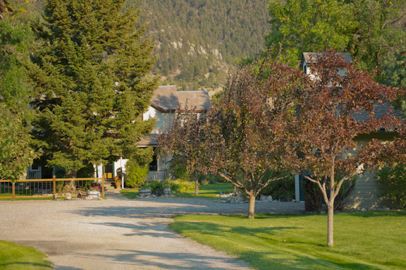 Laughin Lalo: Yellowstone River Inn