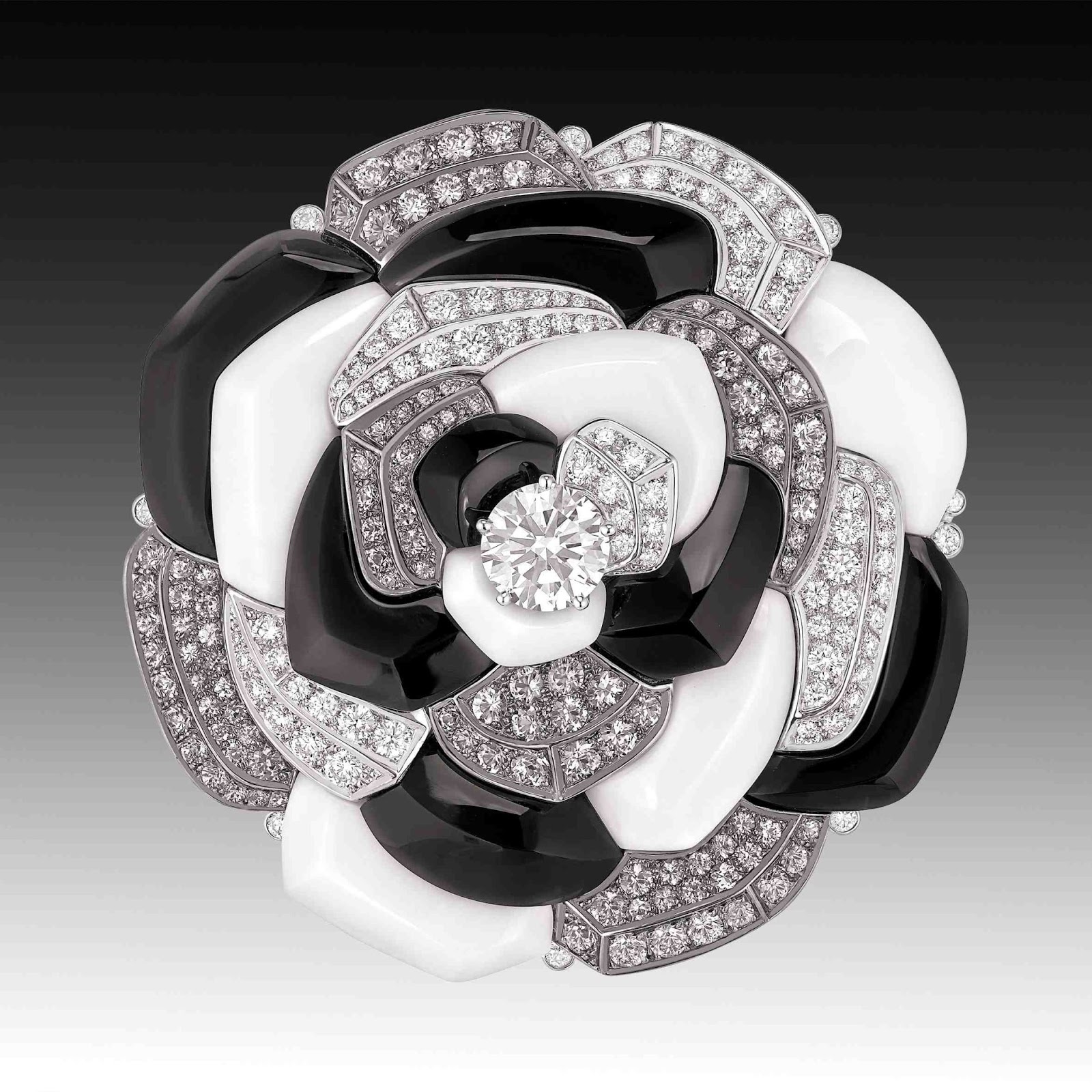 Camélias, inspiração da Chanel