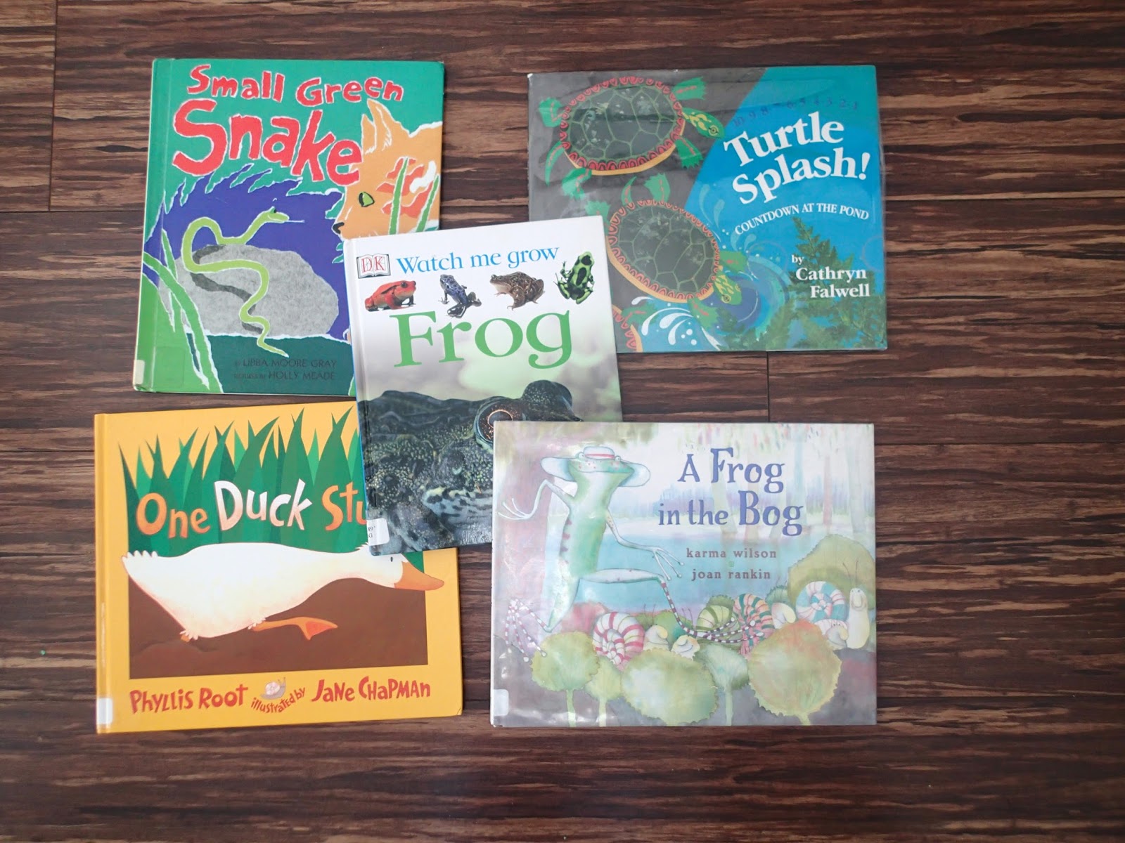 1 Day at Home: Life Around the Pond