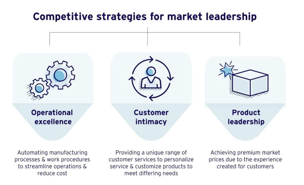 Competitive strategies for market leadership