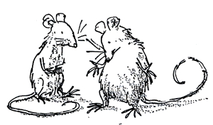 Life is a Book: Reseña: Las brujas - La cata