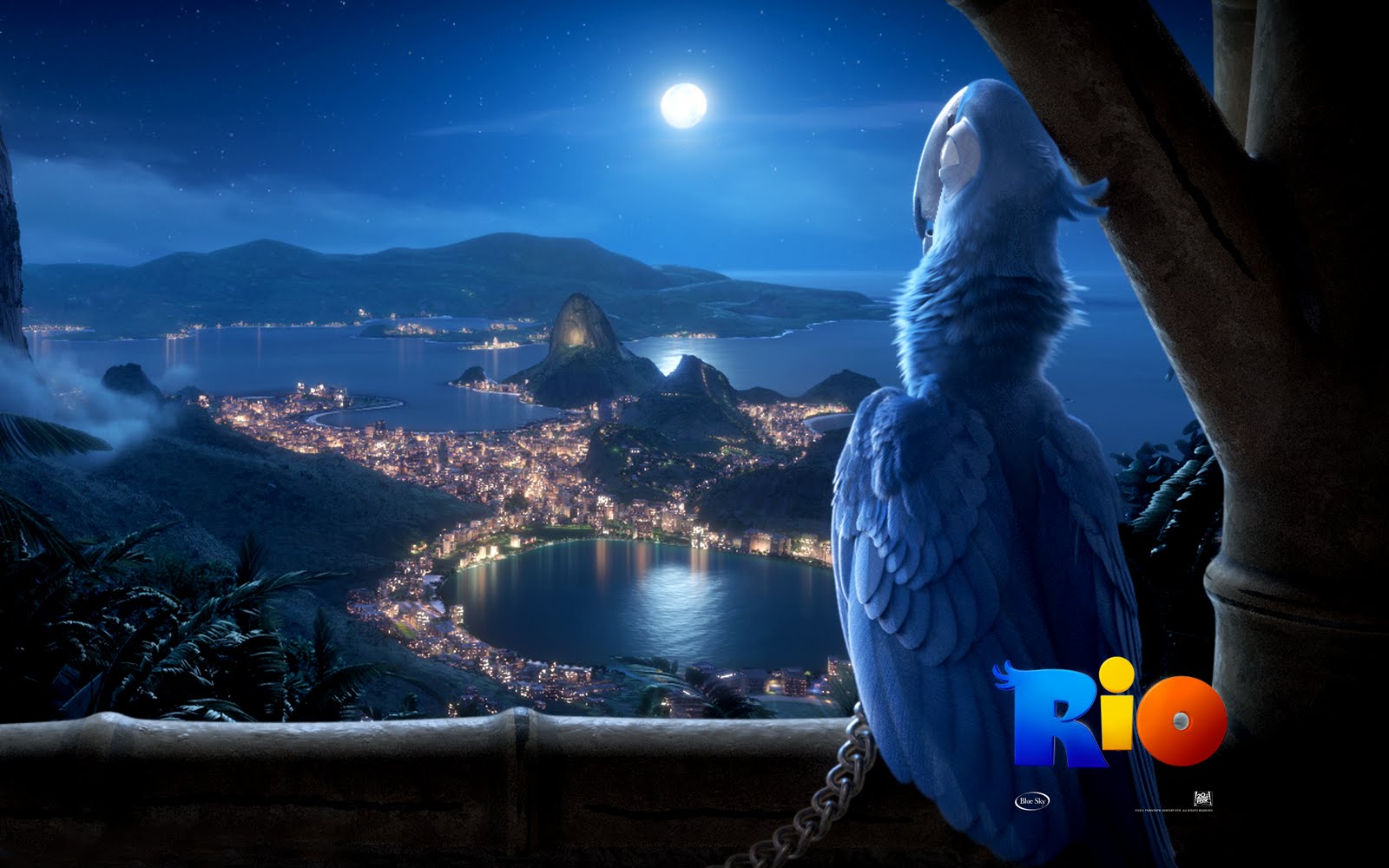 Rio (Angry Bird) Movie Wallpapers - extreme 7
