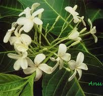 Natural food and good health: March 2013