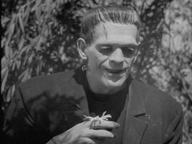 Misfit Robot Daydream: Frankenstein (1931) - 59 Screencaps