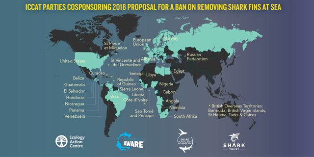Protejamos las Maravillas del Mar: PEQUEÑOS PASOS ADELANTE PARA LA ...