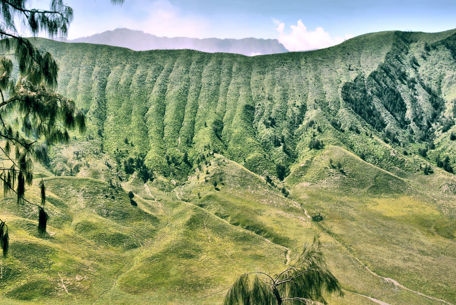 Arts Photographer: Ranu Regulo