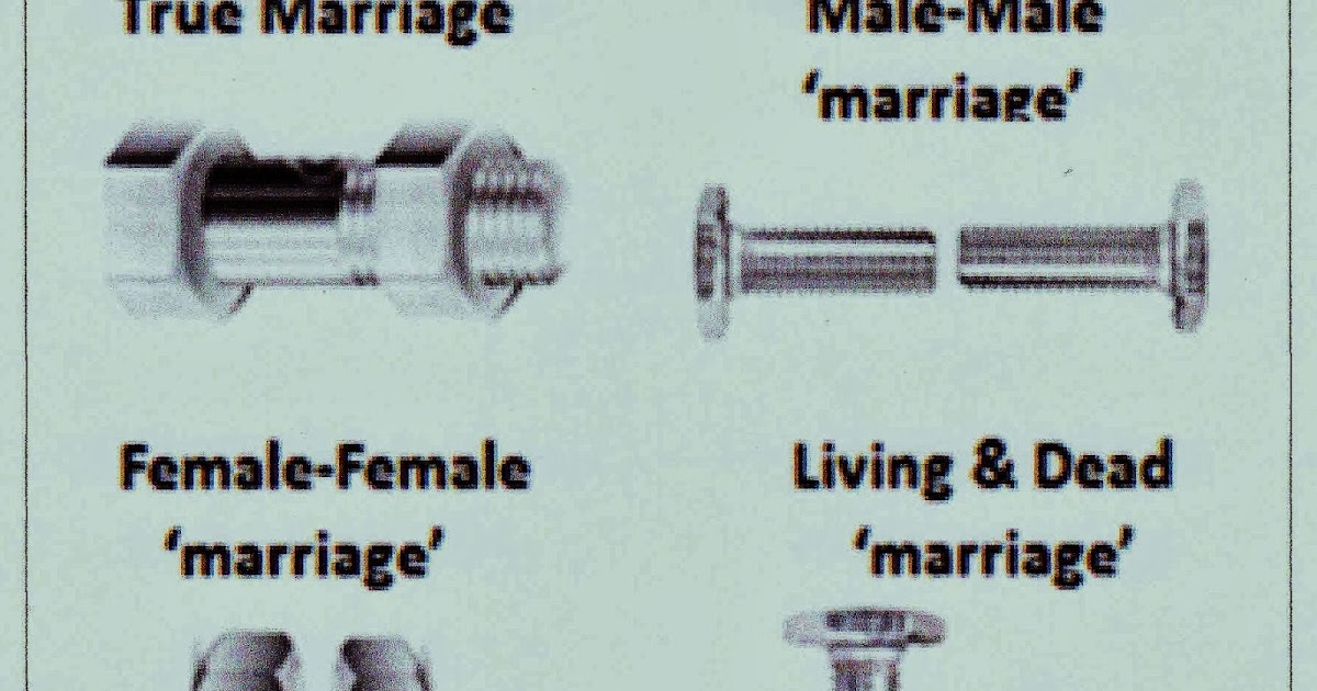 Catholic Collar And Tie: The Nuts & Bolts of Marriage Today