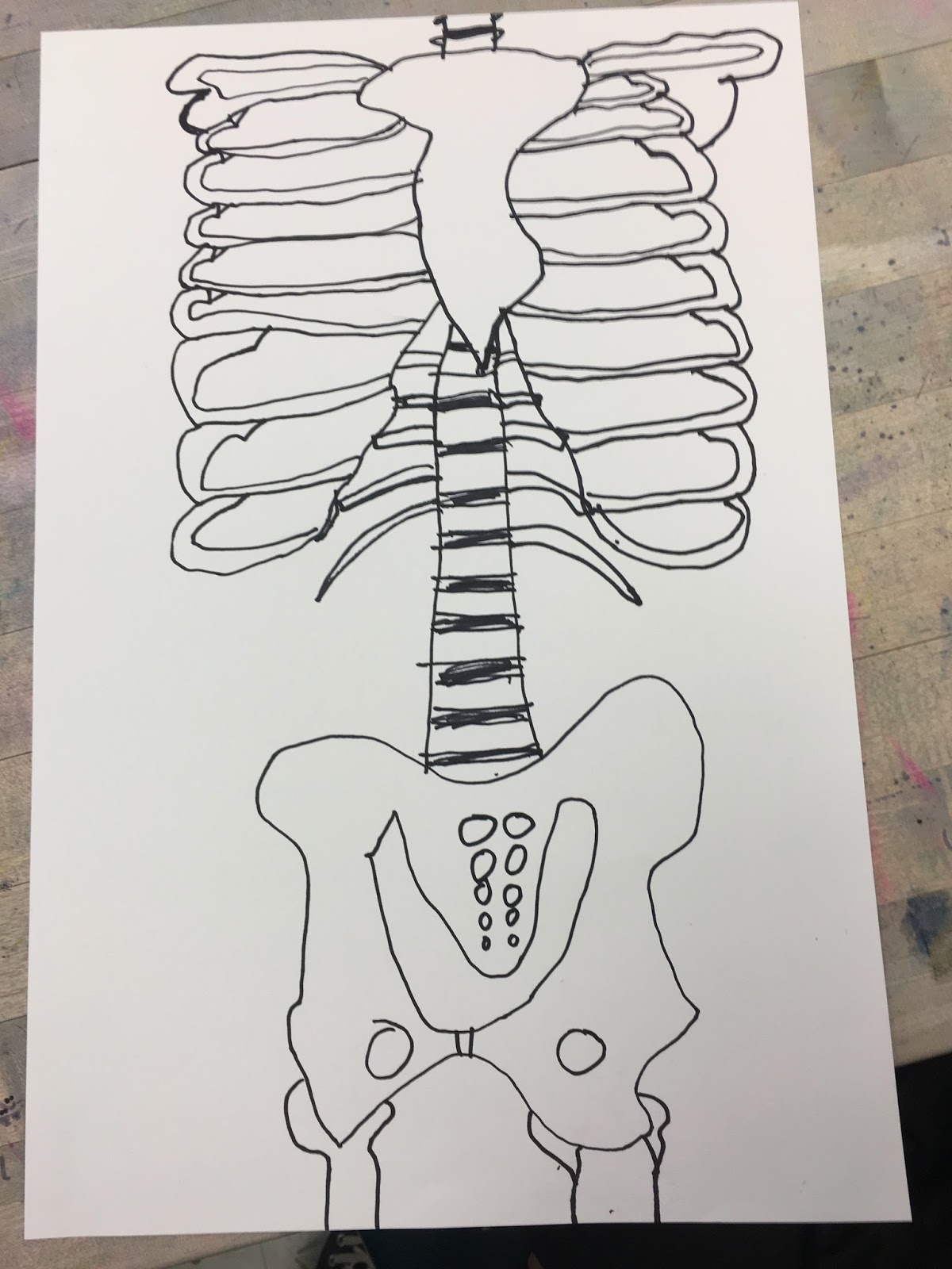 Art Room Blog: 5th grade Skeleton Torso Project...