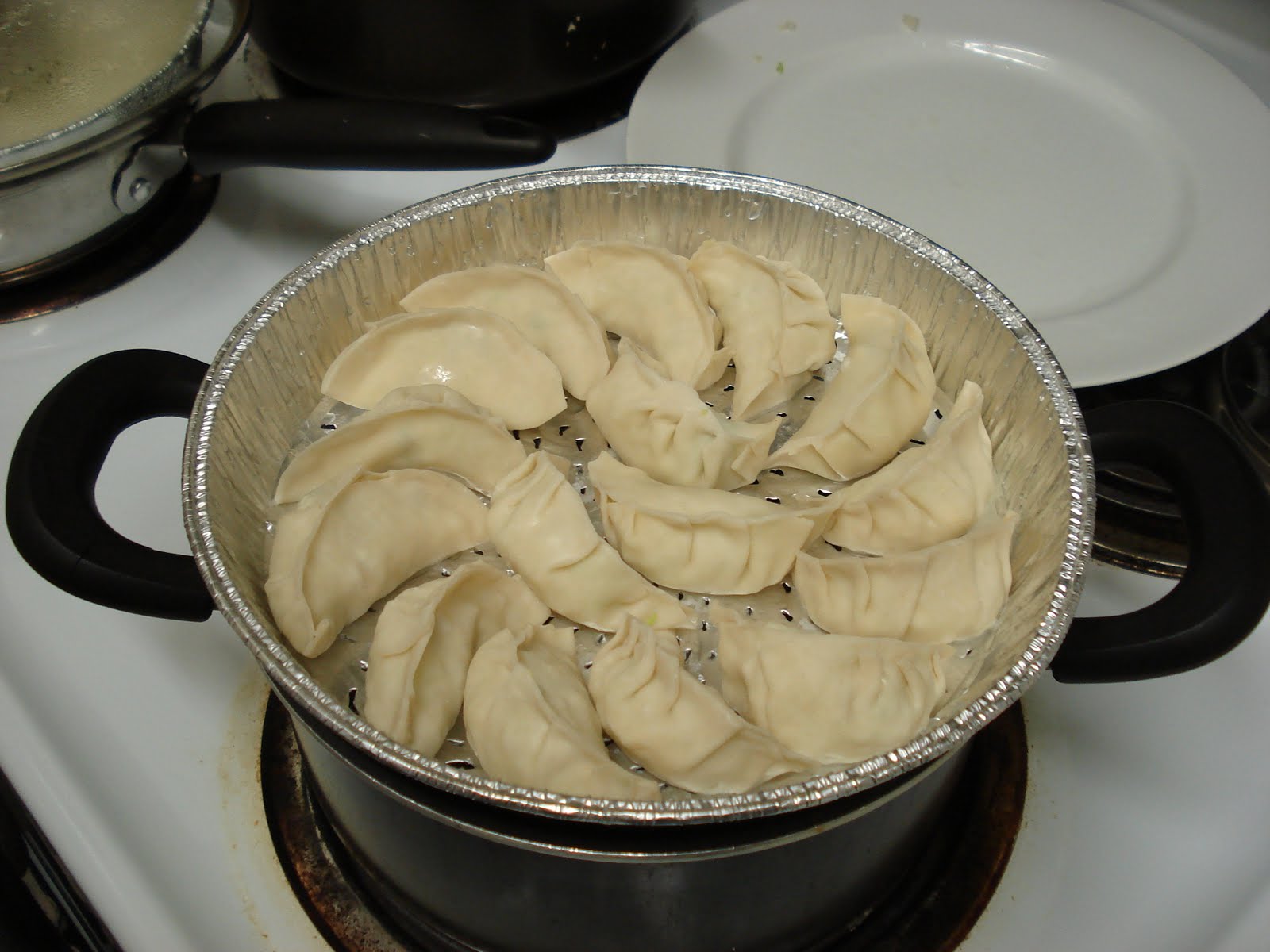 Shigi Bite: Veggie Momos! (aka Nepali Pot Stickers)