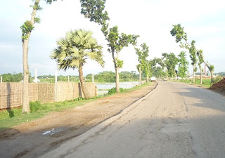 Homna - Comilla: Comilla | Debidwar | Companiganj Road