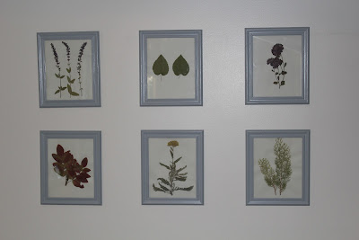 everywhere beautiful : DIY: Pressed Botanical Art
