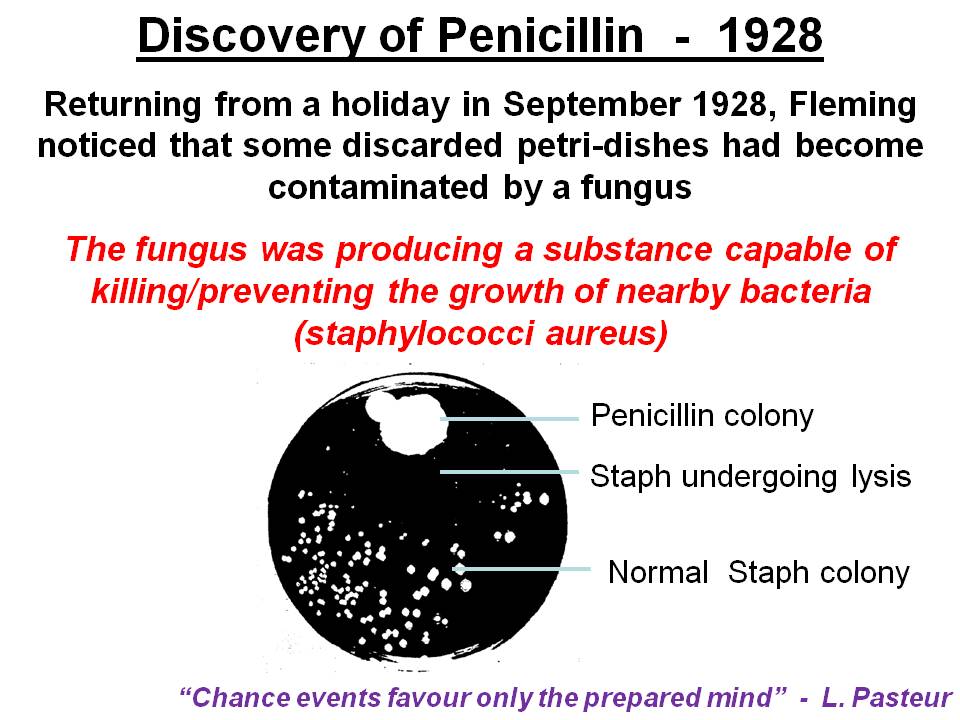 ektalks: Alexander Fleming: Penicillin, Antibiotics, Nobel Laureate ...