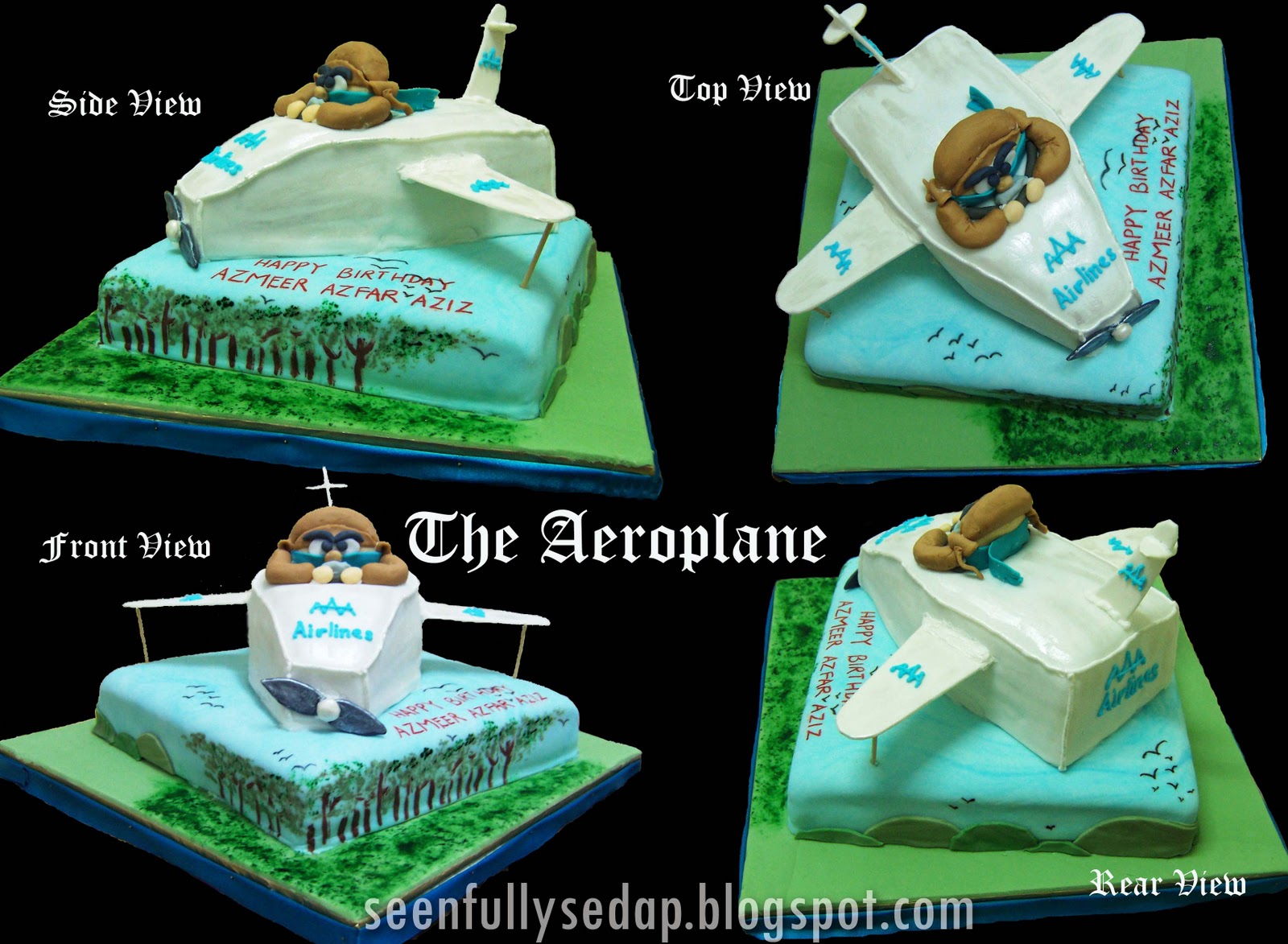 Seenfully Sedap: Birthday Cake - The Aeroplane