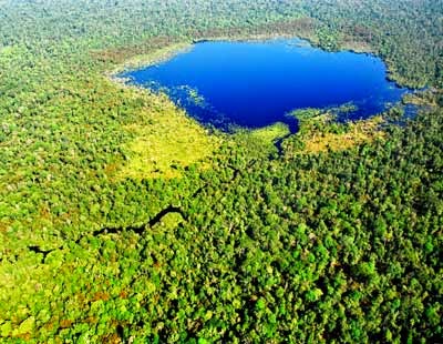 Mengenal Biosfer (Lapisan Tempat Makhluk Hidup) - Butuh Artikel