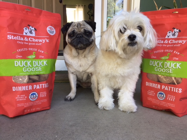 A Bowl of Noodles©: The Chewy.com Choo Choo Arrives With A Challenge # ...