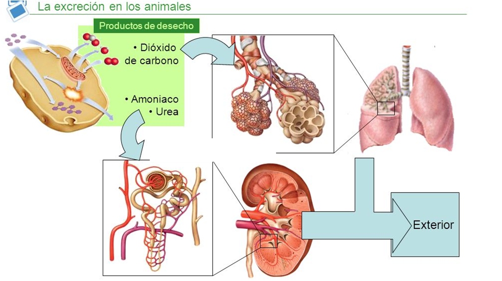 filo 2º ESO: octubre 2014