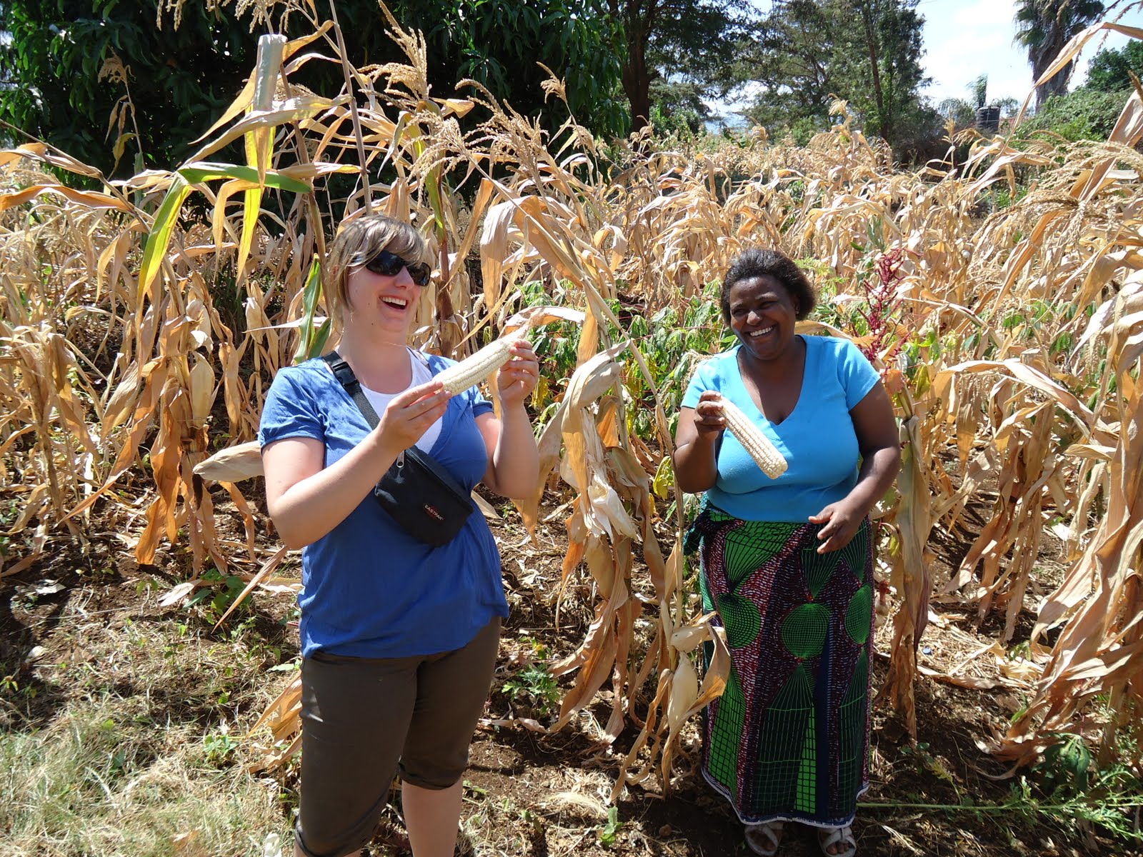 Professional Tour Guide School