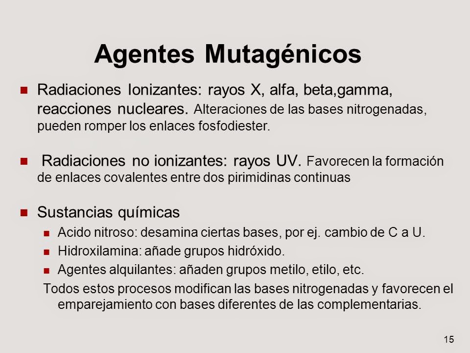 Bioprofe4: Mutaciones I