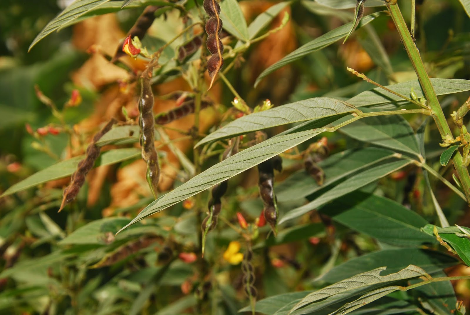 Smooth Escape: 04/01/2014 - 05/01/2014