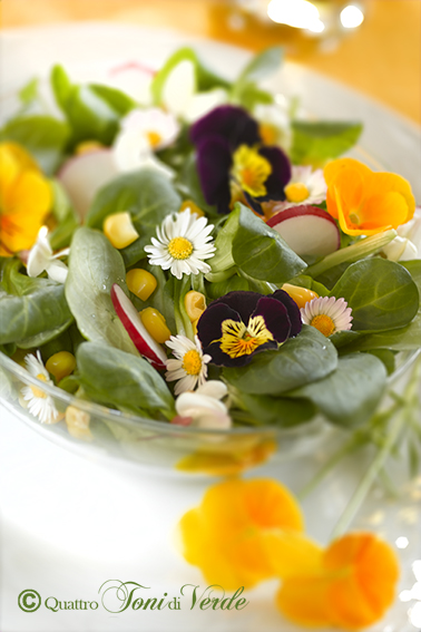 Quattro toni di verde: Facciamo la spesa nel Prato! - I Fiori ...