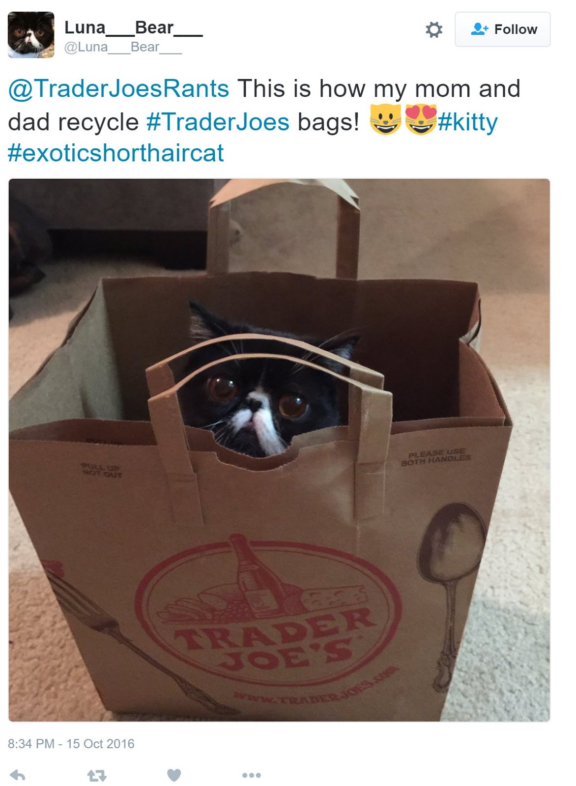 Exploring Trader Joe's: Roundup