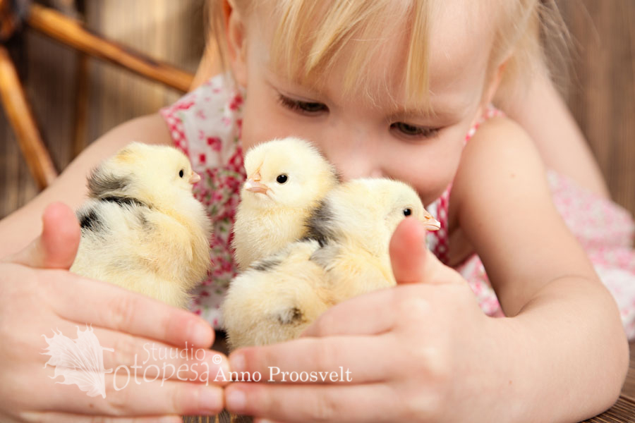 Tibudega fotostuudios vol 1 - Fotostuudio Fotopesa