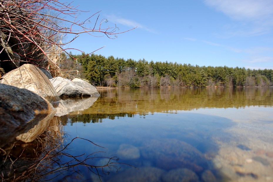 Amanda Markell Photography