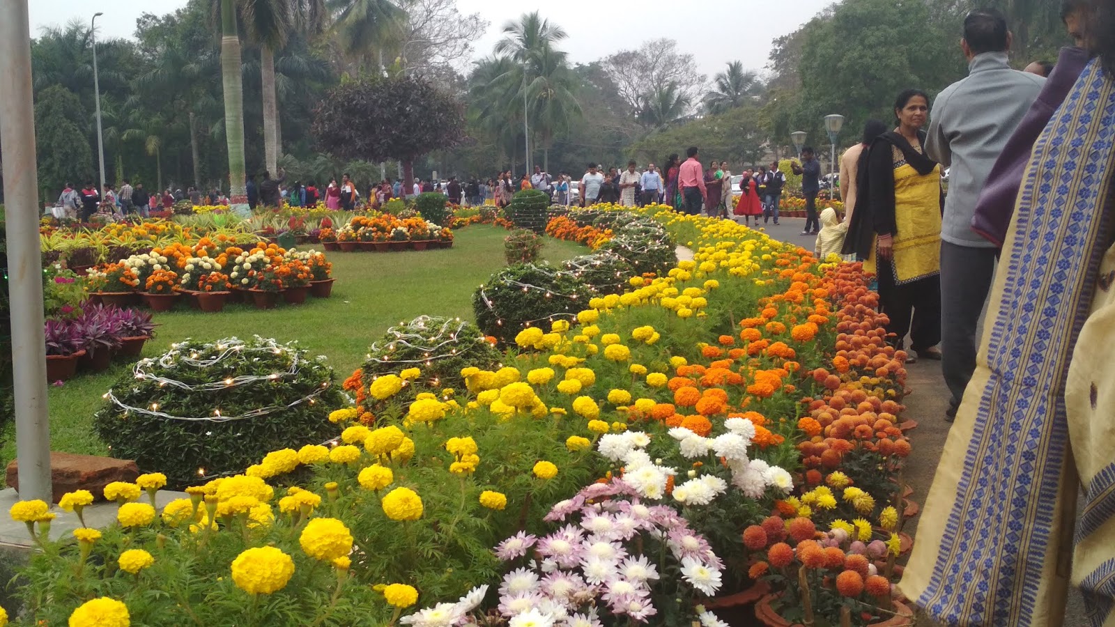 OSS TODAYS: Public visits Secretariat Park