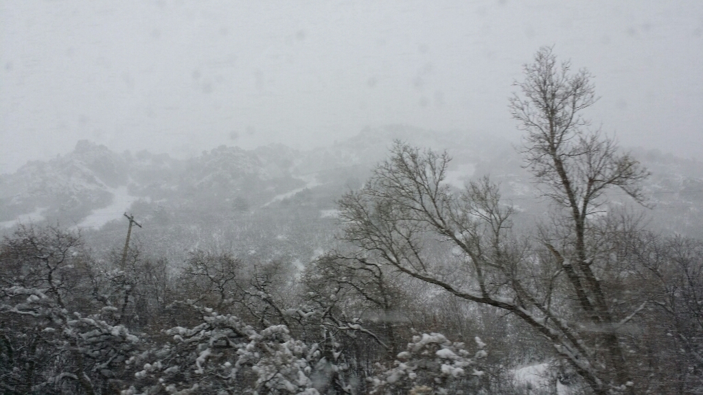 White Winter in Utah