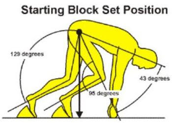 Intro to Animation: Reference gathering