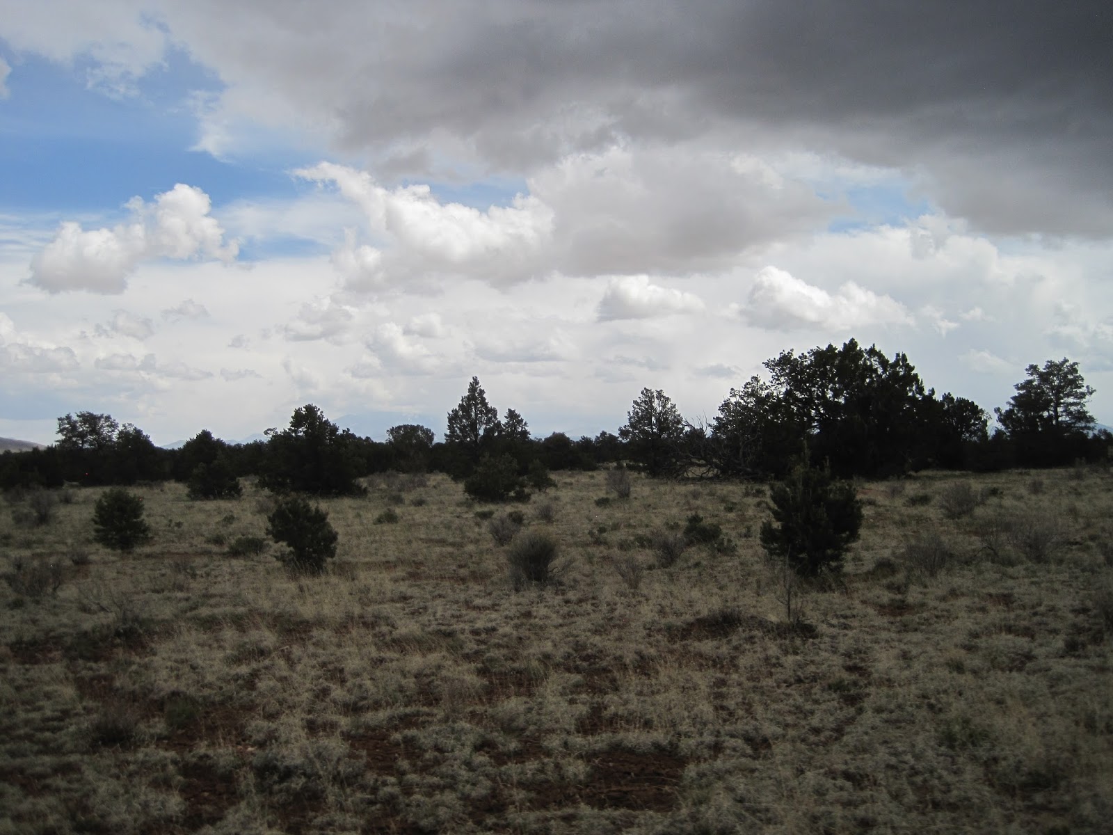 Flagstaff to Grand Canyon Stagecoach Line 100 Mile Ultra and Relay ...