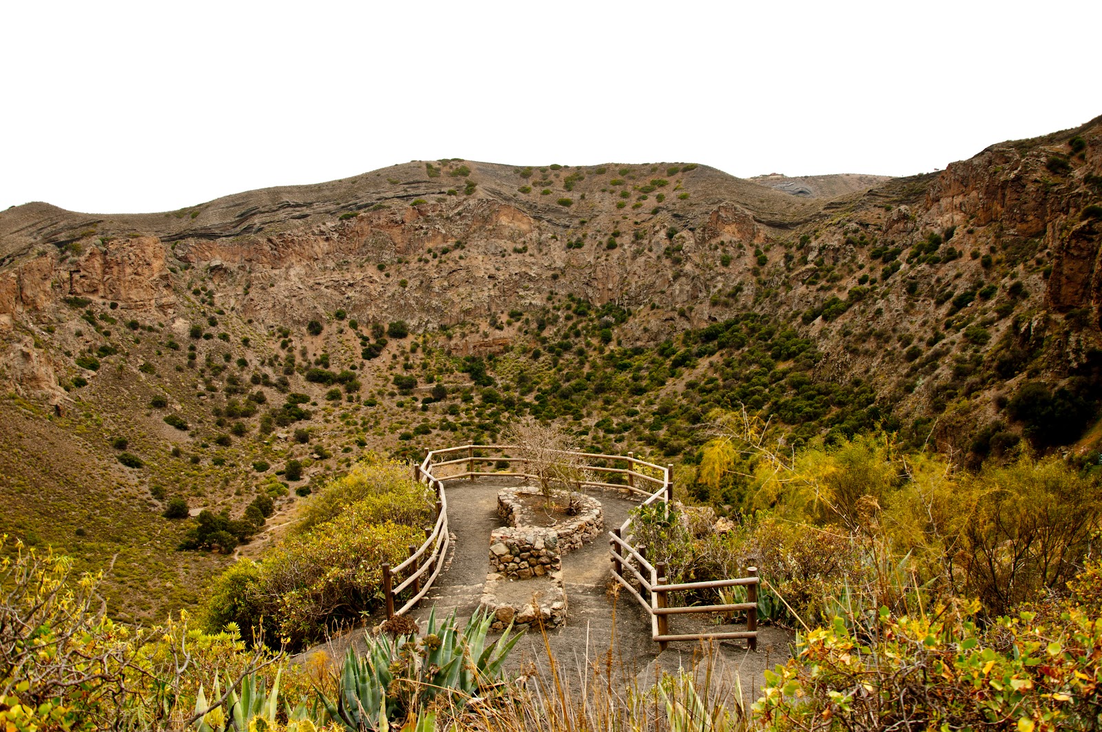 LA CALDERA DE BANDAMA: AVES CESAR