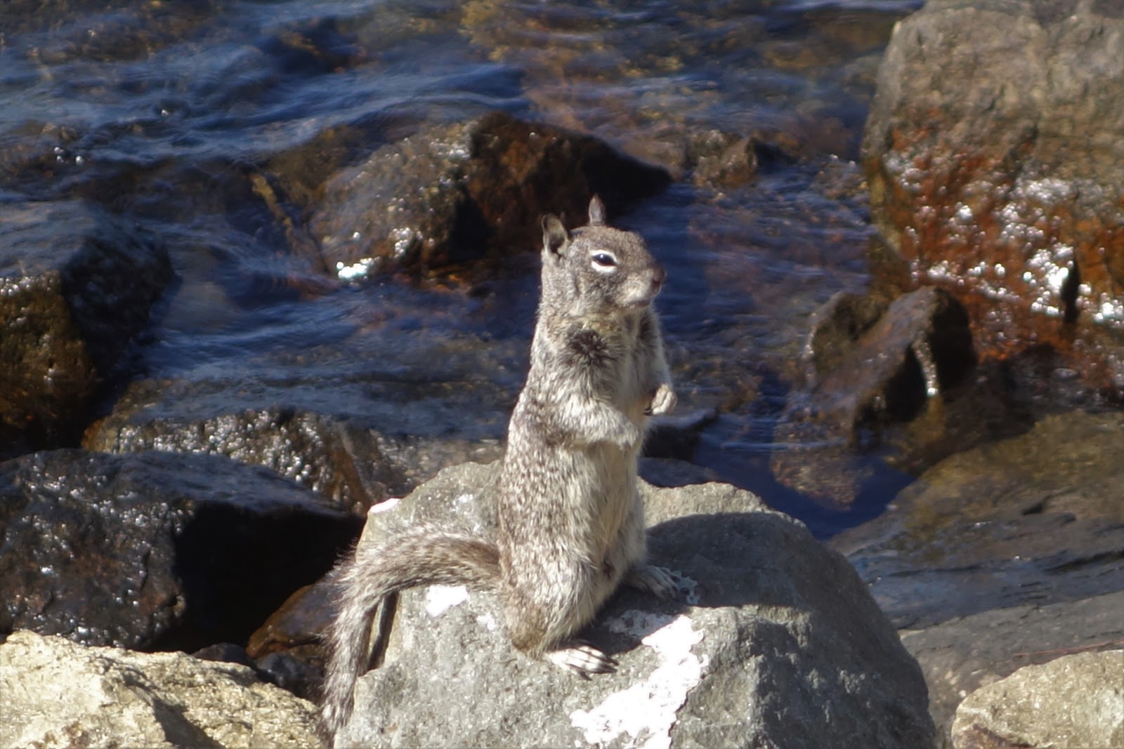 Dana Point Harbor Morning...At Dawn Early Morning Light: 18.0414 Dana ...