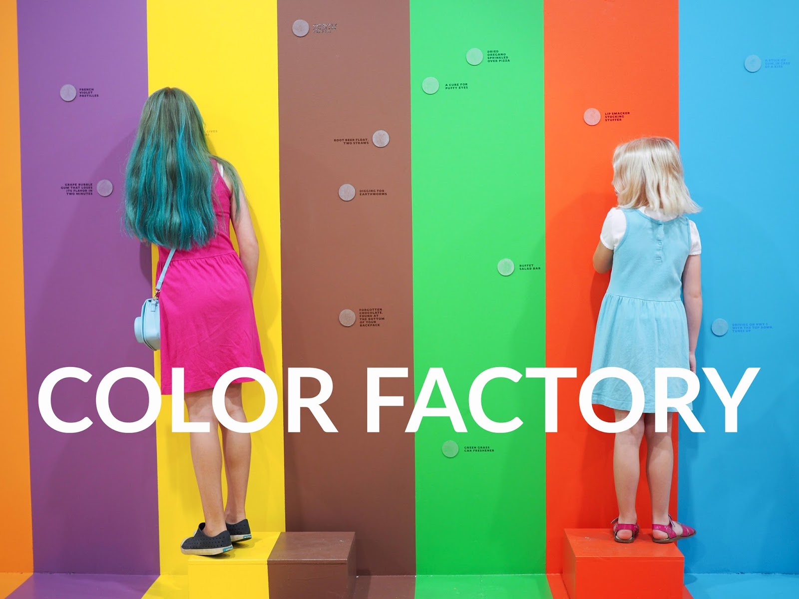 Little Hiccups: Color Factory