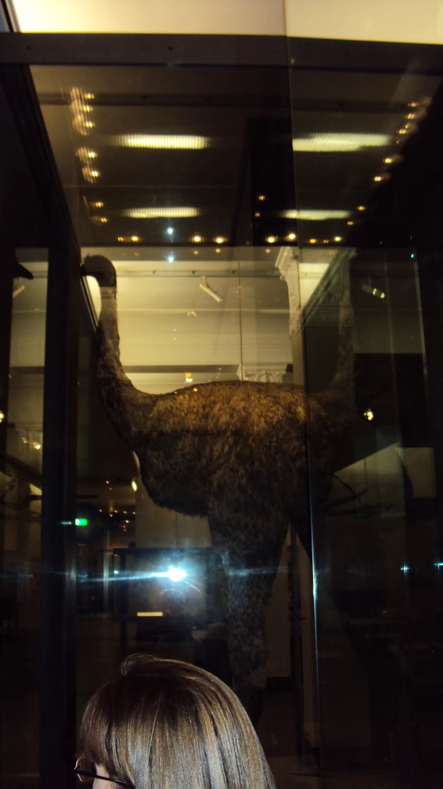 Life As It Is ...: Aoteoroa visit - Dec 2013