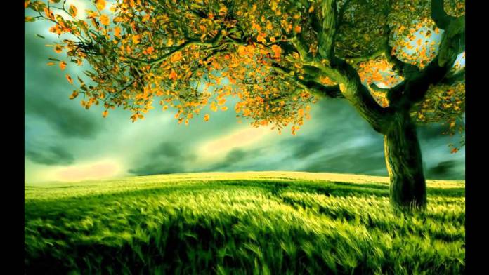 Génesis Capítulo 2 ~ Comentando la Biblia