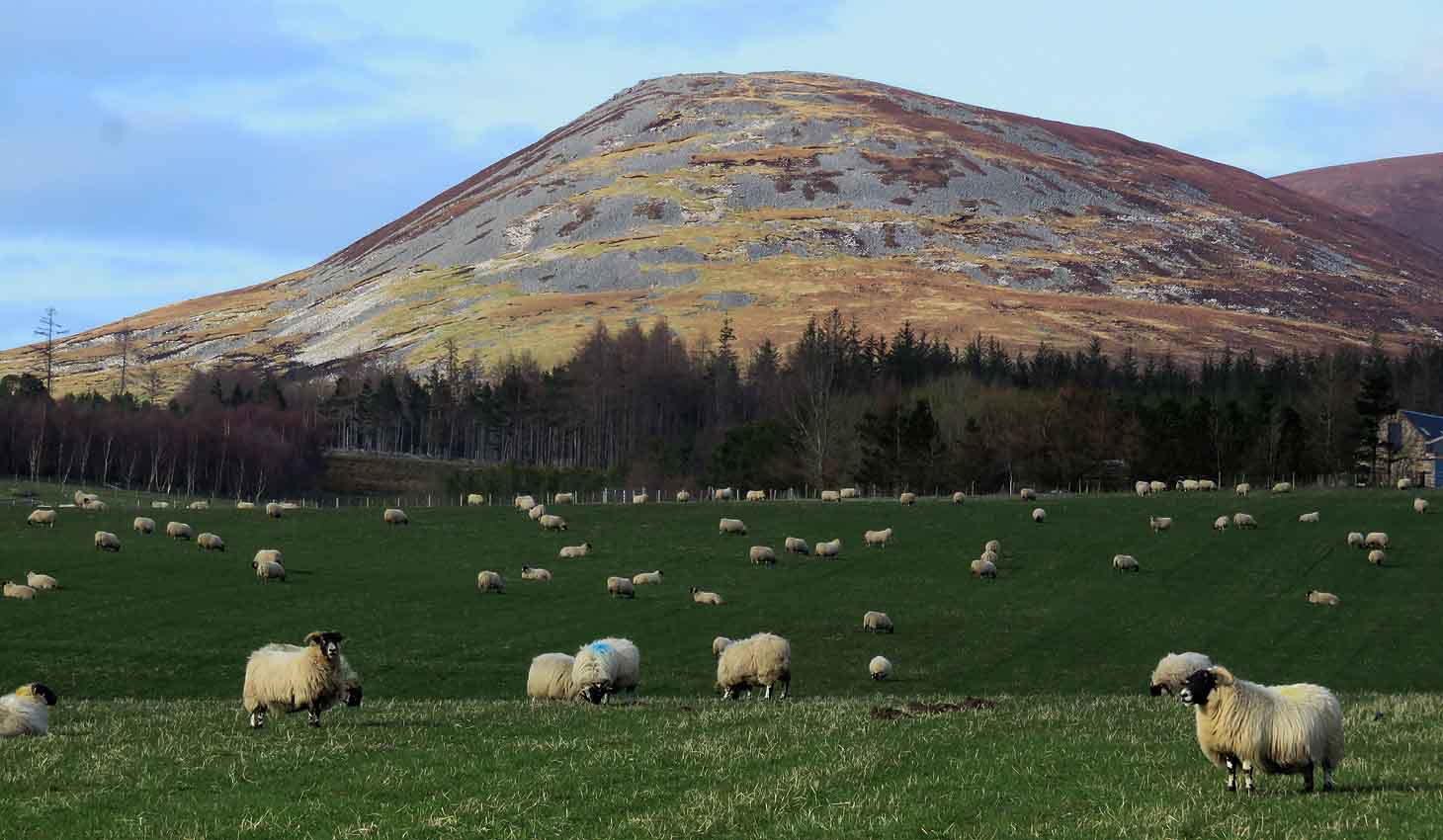Alex and Bob`s Blue Sky Scotland: Braes of Glenlivet. Moray. Spring ...