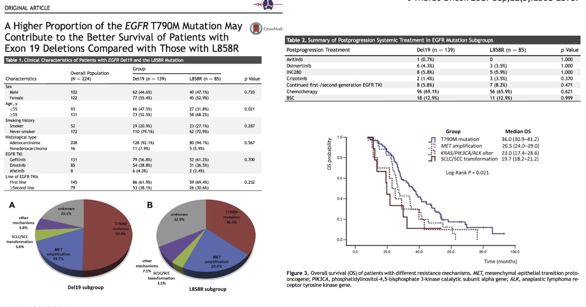 West Saitama Central Hospital: Respiratory Department: A Higher ...